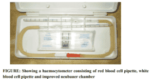 Introduction to Hemocytometry: What You Need to Know - Pharmacy Infoline